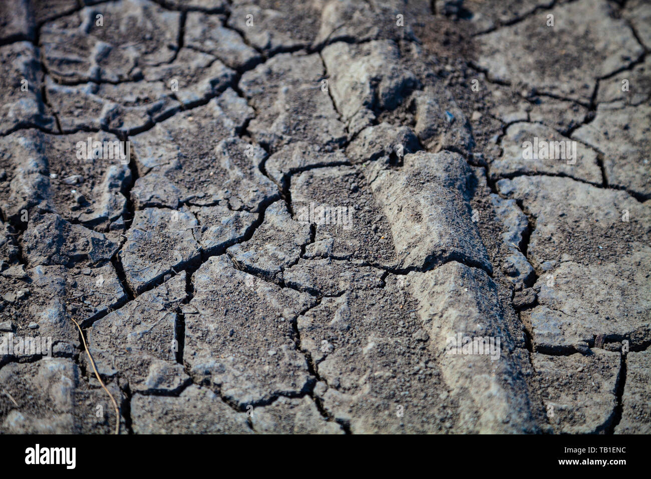 Dirty road in the countryside close up. Off-road. Background Stock ...
