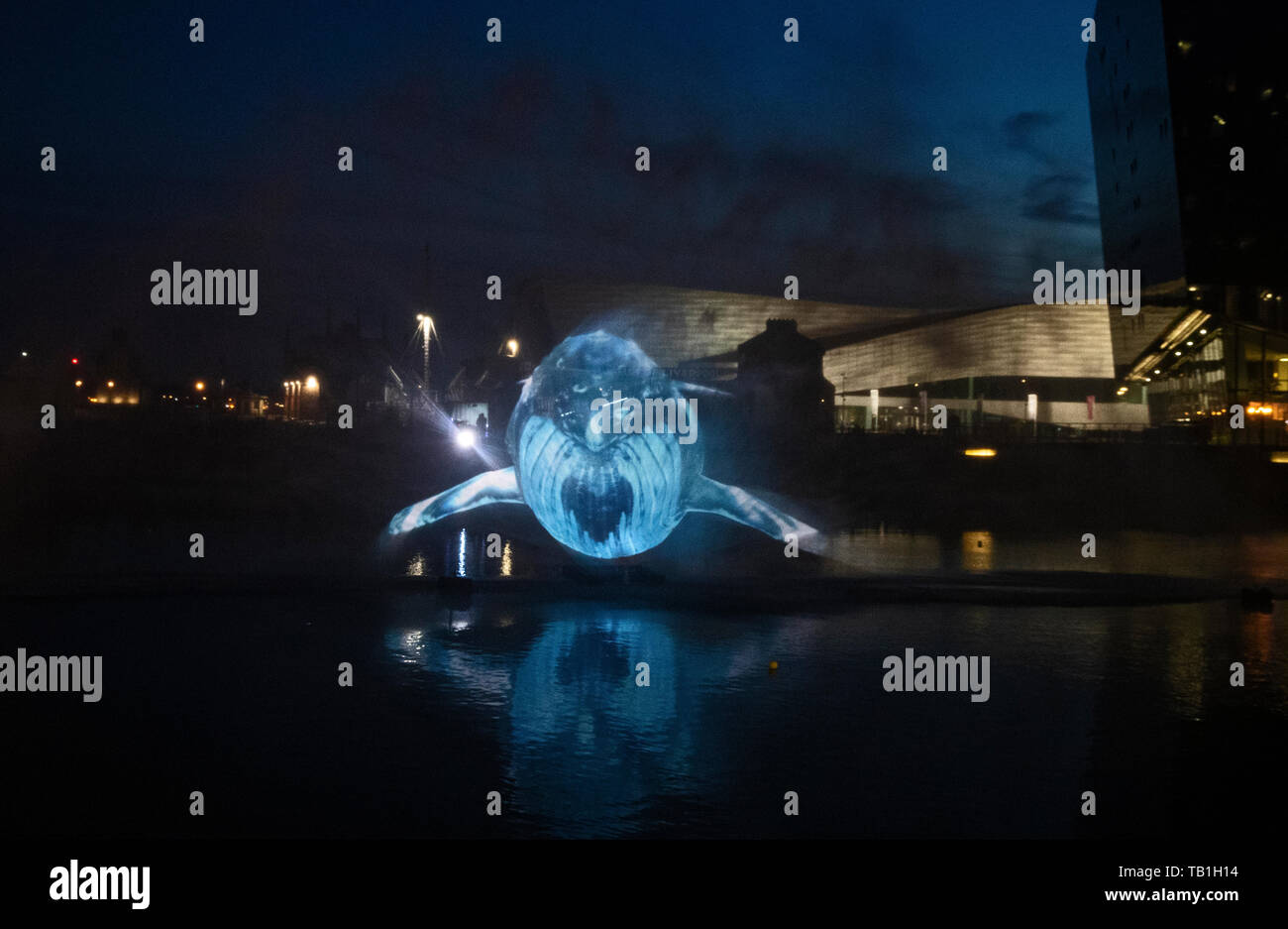 Part of a water and light projection, entitled Whale Song, in Canning ...