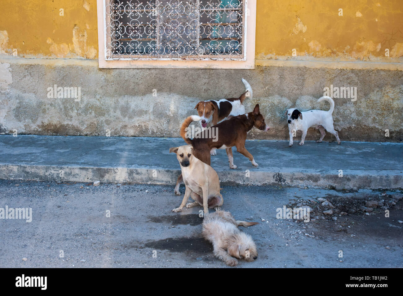 Merida, Yucatan. Mexico Stock Photo - Alamy