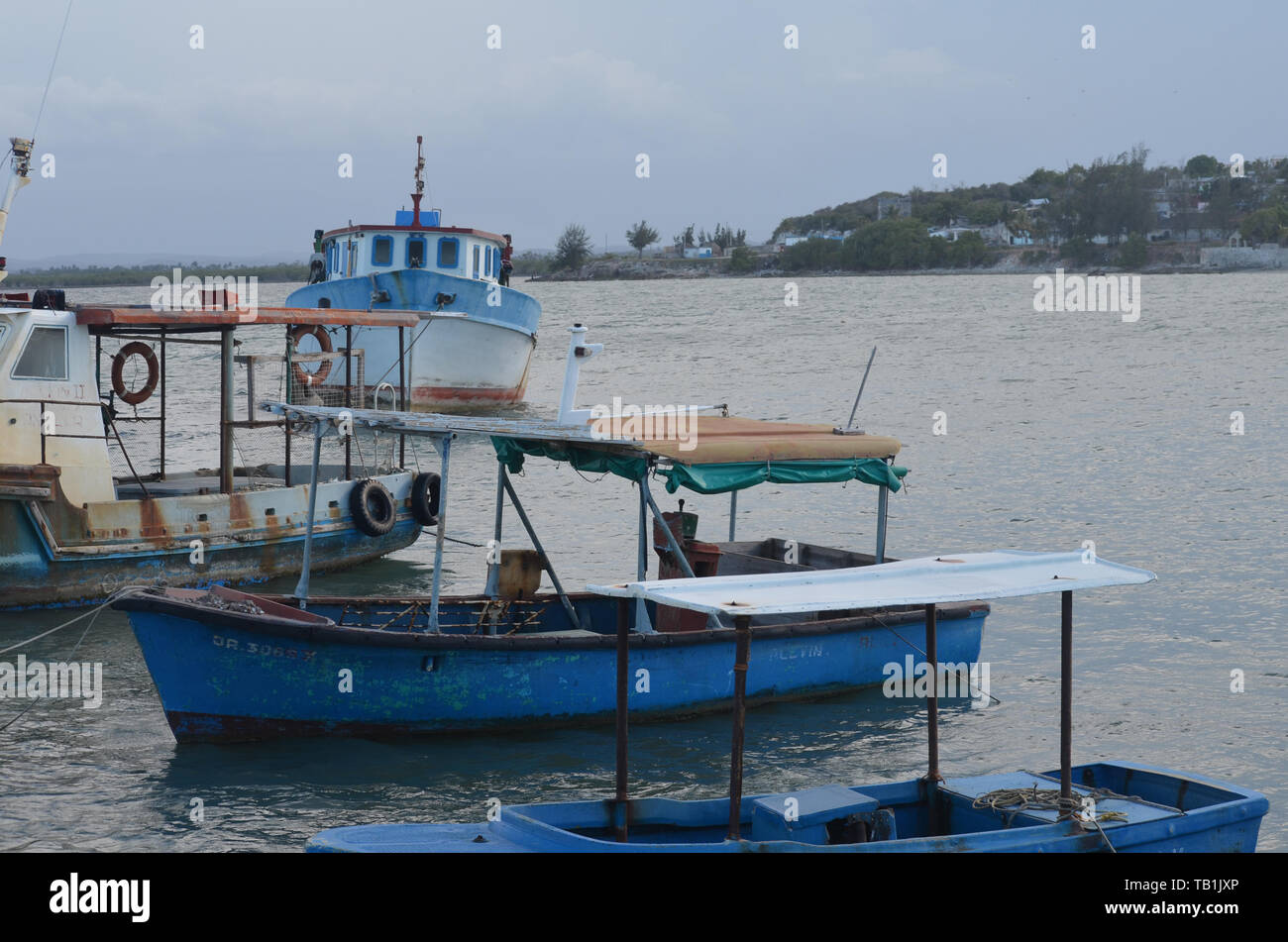Artisanal fishing fleet in Gibara harbour, southern Cuba Stock Photo ...