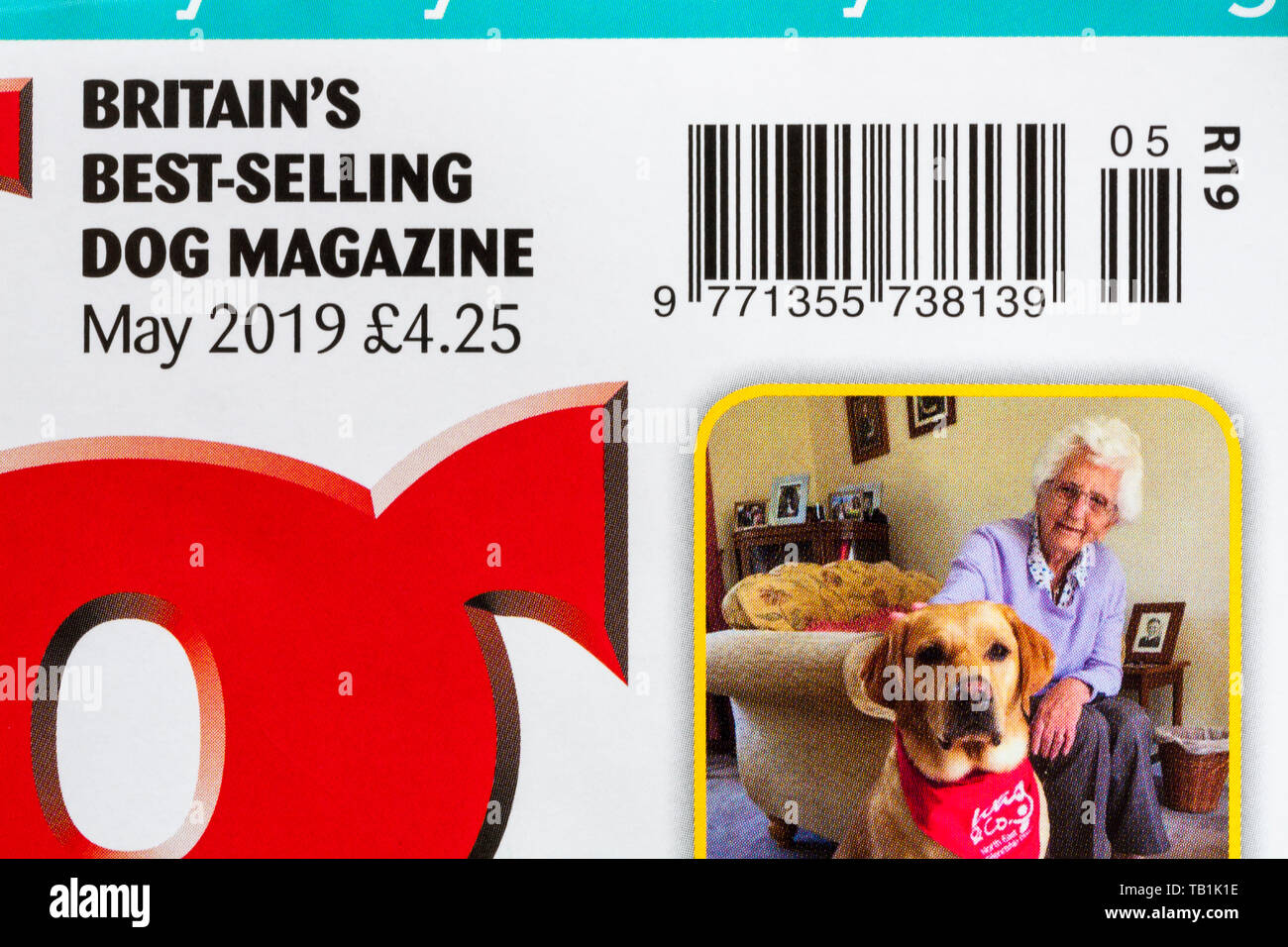 Barcode bar code on cover of Your Dog magazine Stock Photo - Alamy