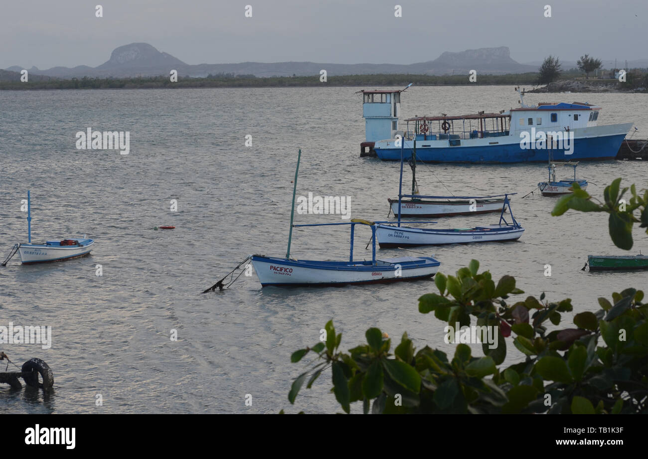 Artisanal fishing fleet in Gibara harbour, southern Cuba Stock Photo ...
