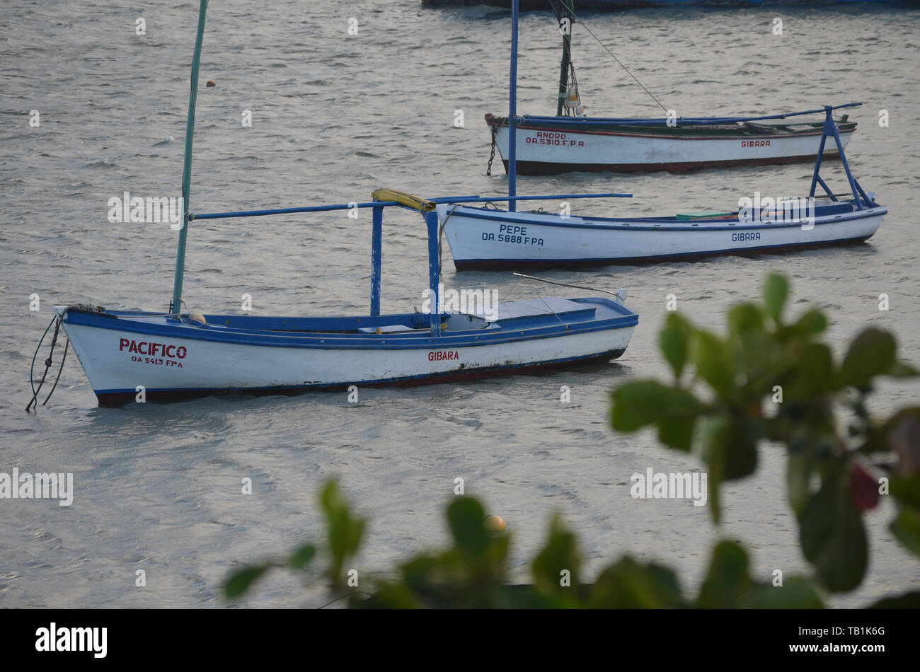Artisanal fishing fleet in Gibara harbour, southern Cuba Stock Photo ...