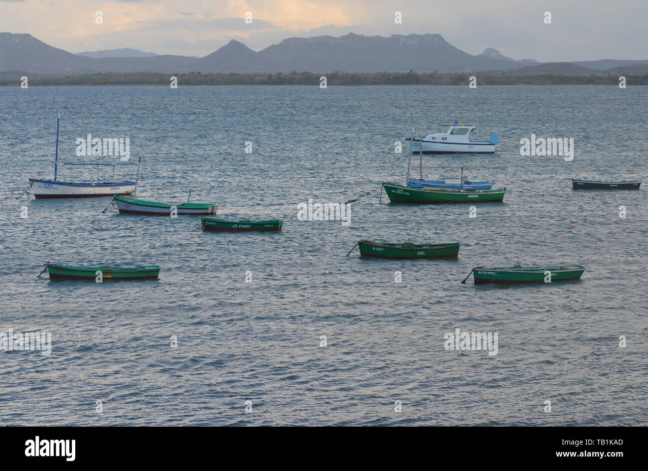 Artisanal fishing fleet in Gibara harbour, southern Cuba Stock Photo ...