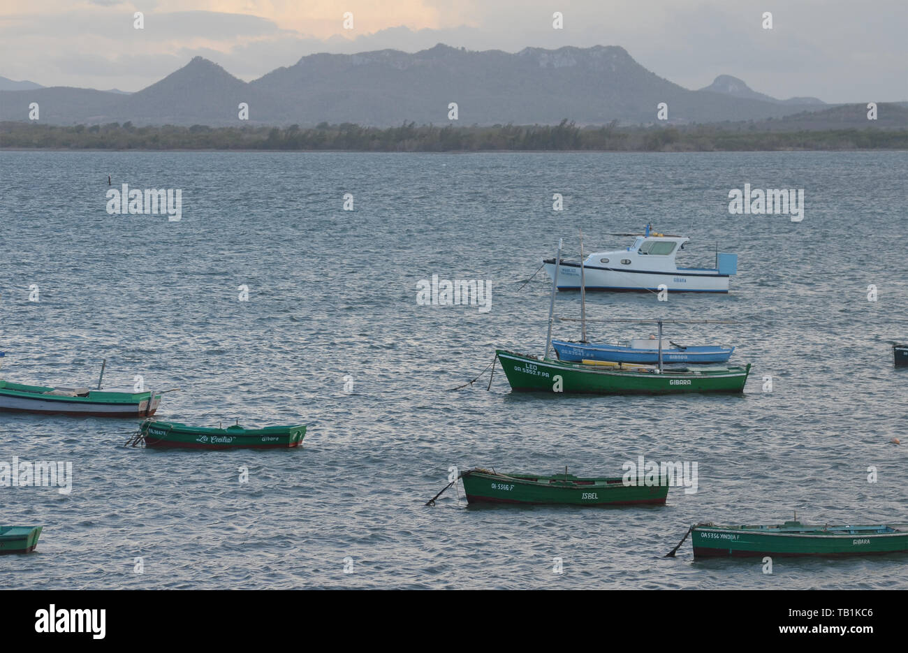 Artisanal fishing fleet in Gibara harbour, southern Cuba Stock Photo ...