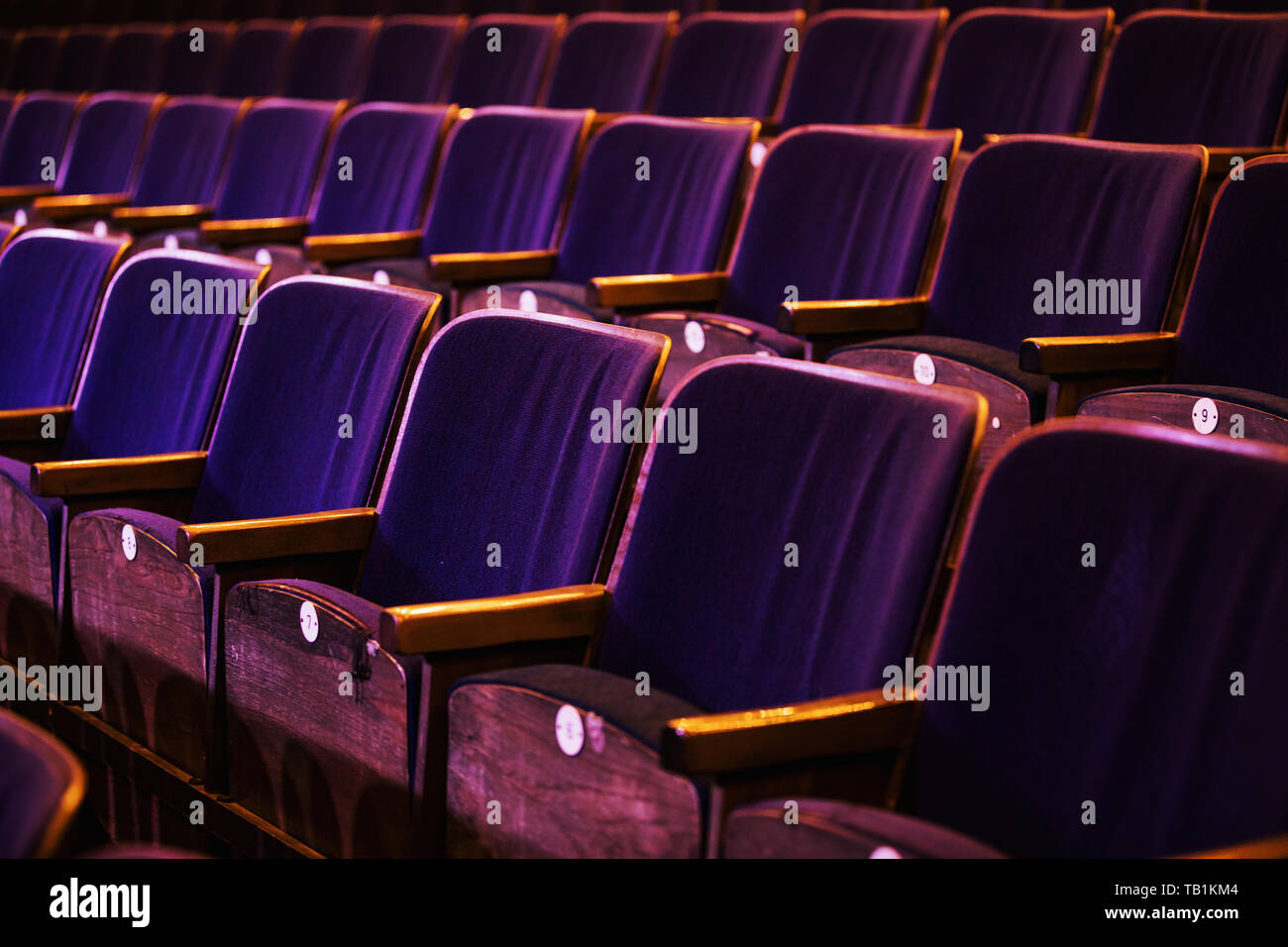 auditorium with seats, chairs in auditorium colored by spotlights Stock ...