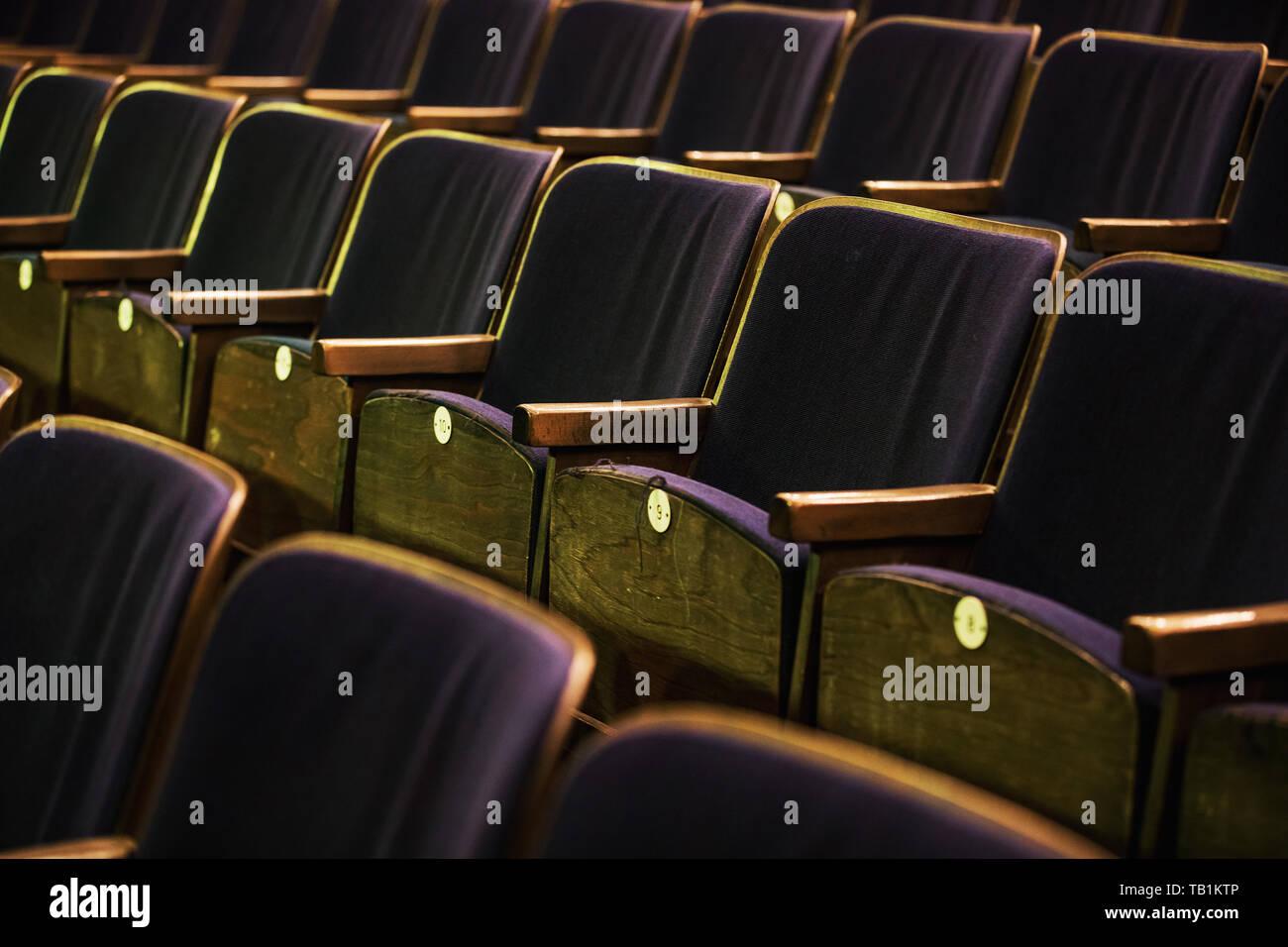 auditorium with seats, chairs in auditorium colored by spotlights Stock ...