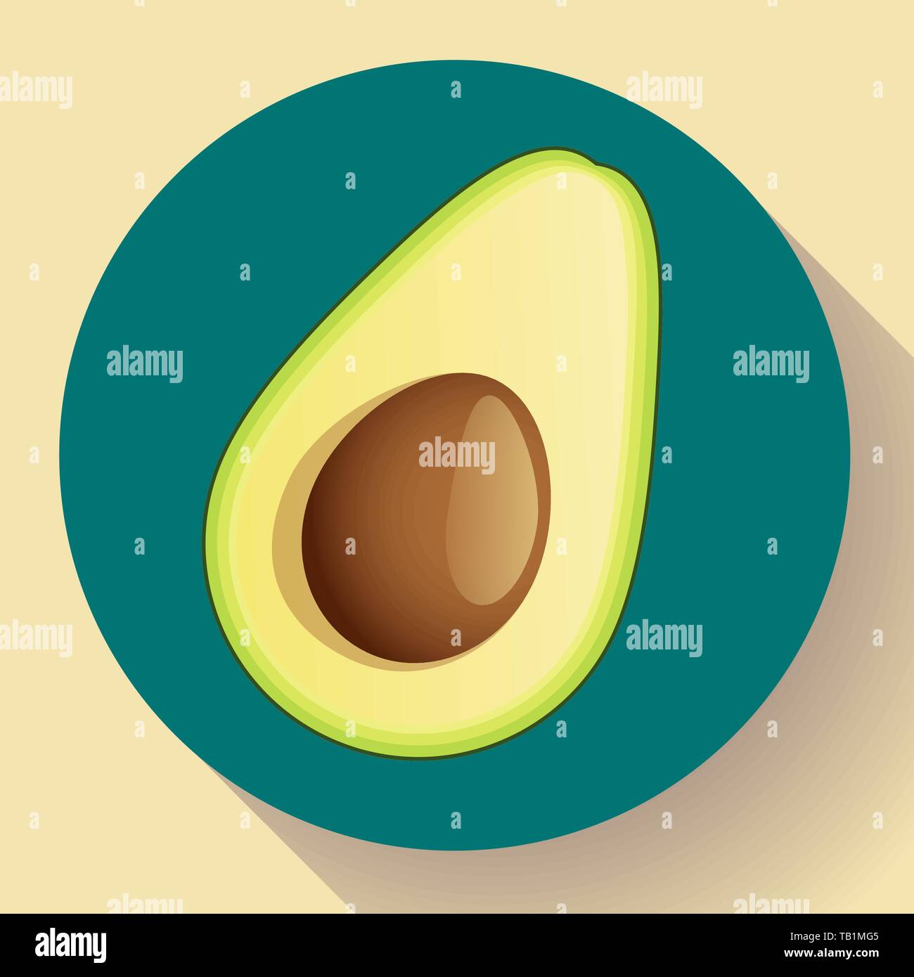 Realistic vector avocado icon illustration. Cut avocado icon flat Stock ...