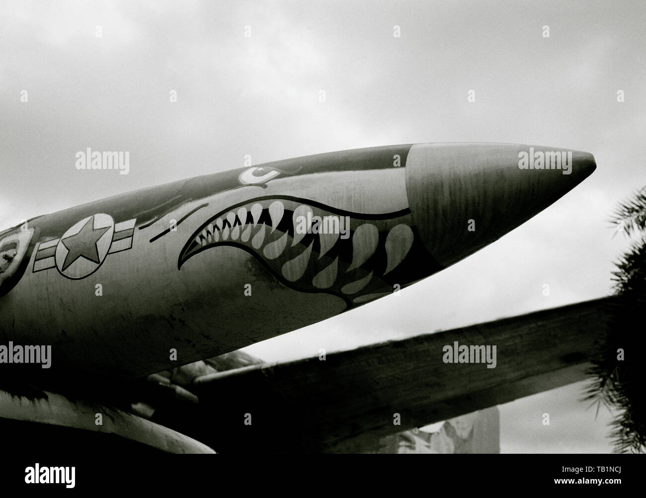 Sharks mouth American WW2-era bomber missile. Weapon Weapons Bomb Stock ...