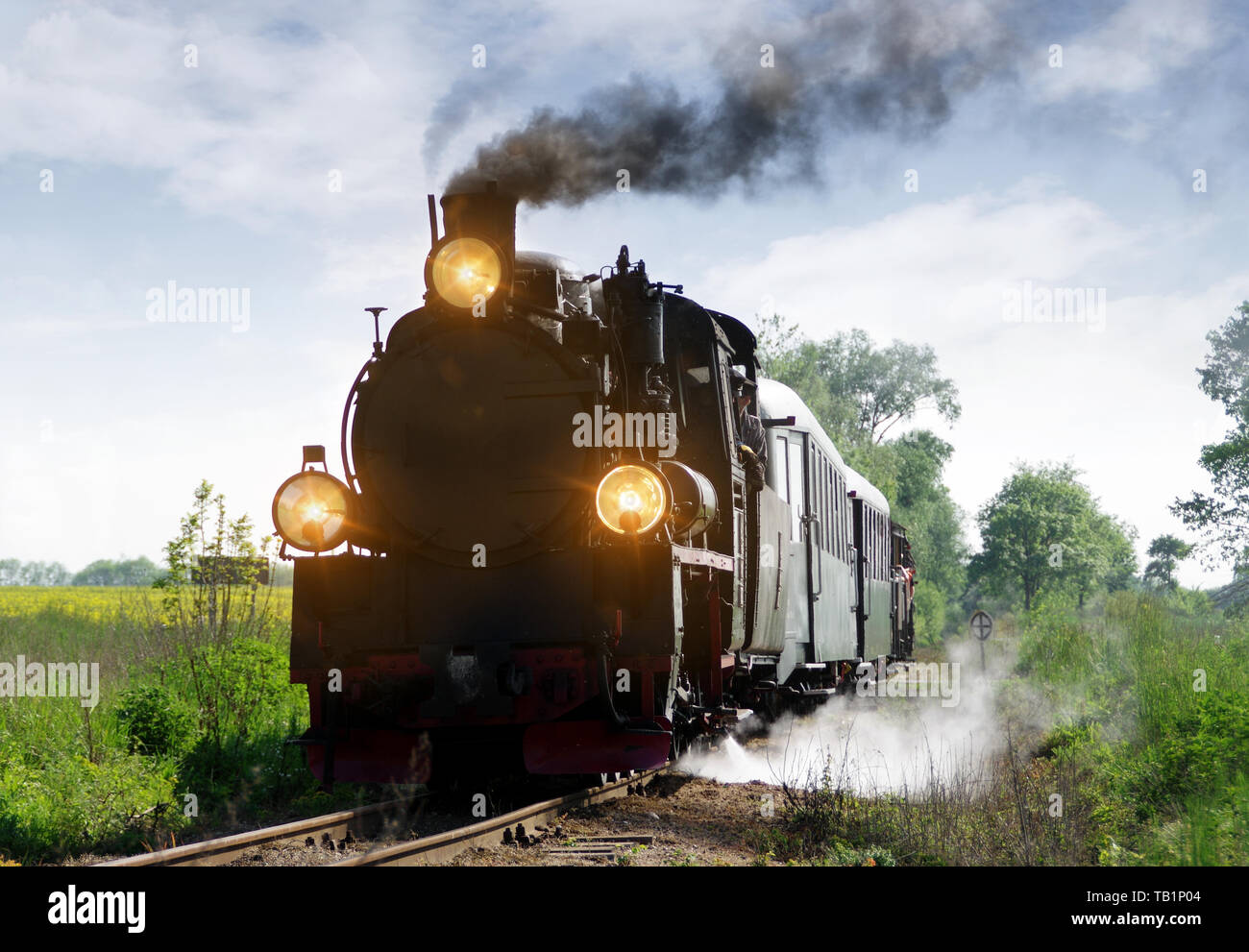 Old passenger train running on tracks through the forest. Retro locomotive with a steam engine ...