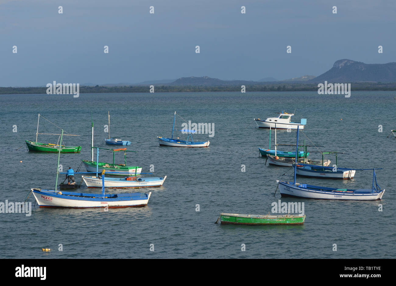Artisanal fishing fleet in Gibara harbour, southern Cuba Stock Photo ...