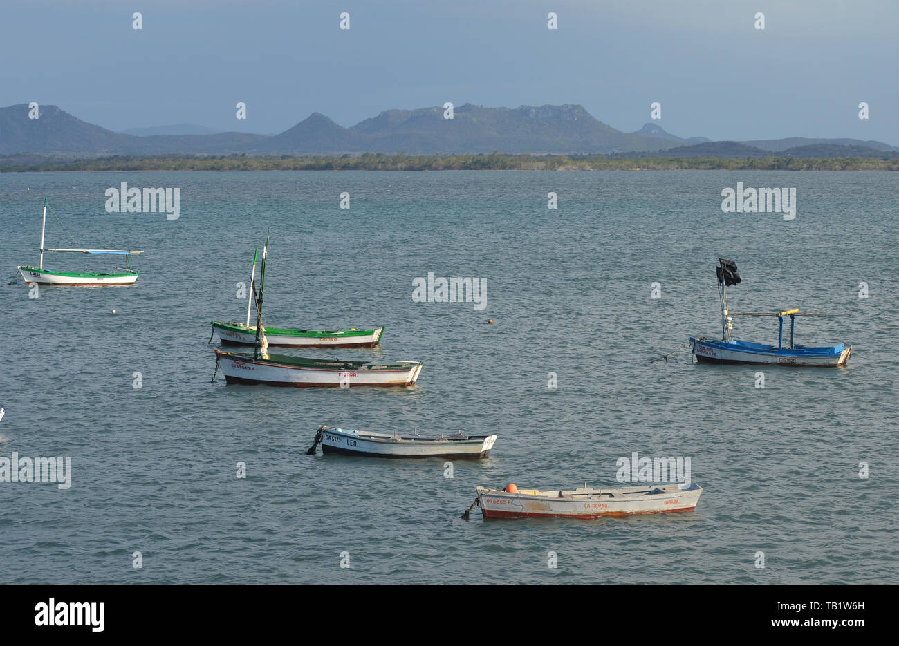 Artisanal fishing fleet in Gibara harbour, southern Cuba Stock Photo ...