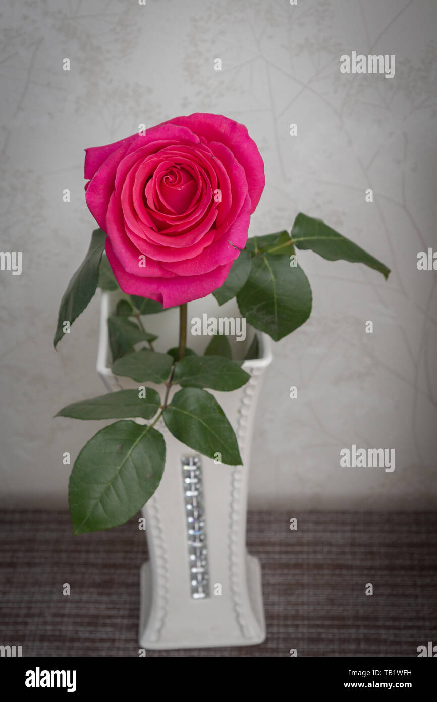Buds stands hi-res stock photography and images - Alamy