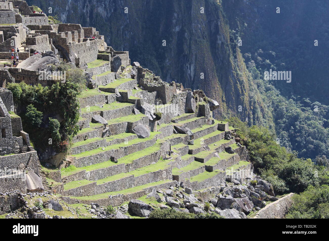 Machu Picchu, Peru Stock Photo - Alamy