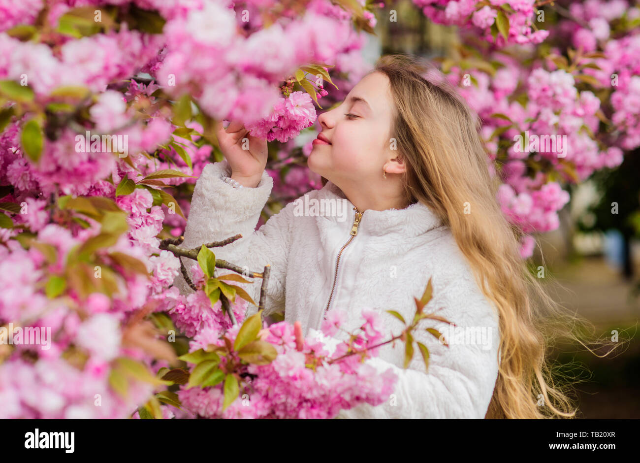 Child enjoy warm spring. Girl enjoying floral aroma. Kid on pink ...