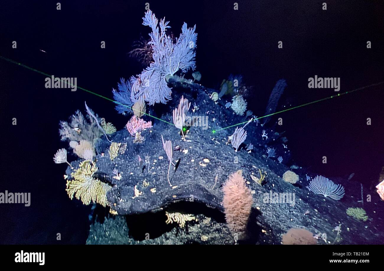 Aboard Kexue. 28th May, 2019. The image taken on May 28, 2019 shows ...