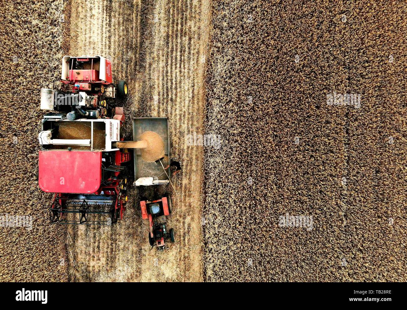 Wuyang village hi-res stock photography and images - Alamy