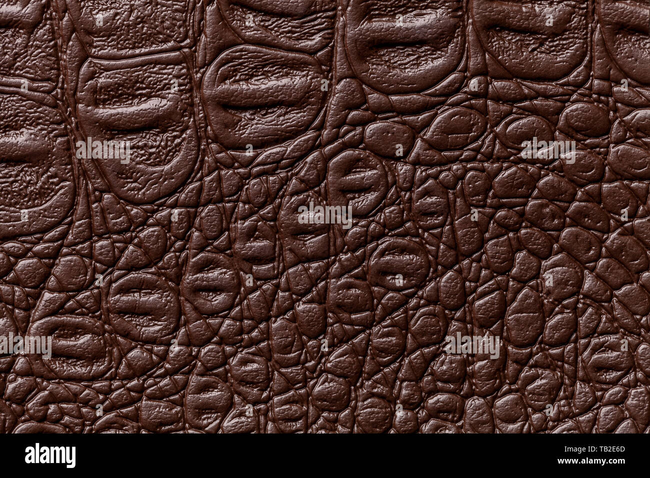 Brown leather texture background, closeup. Dark umber reptile skin ...