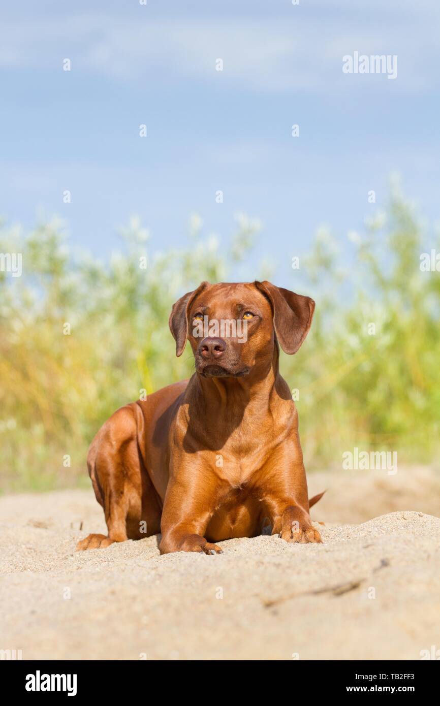 Frontal cirrostratus hi-res stock photography and images - Alamy