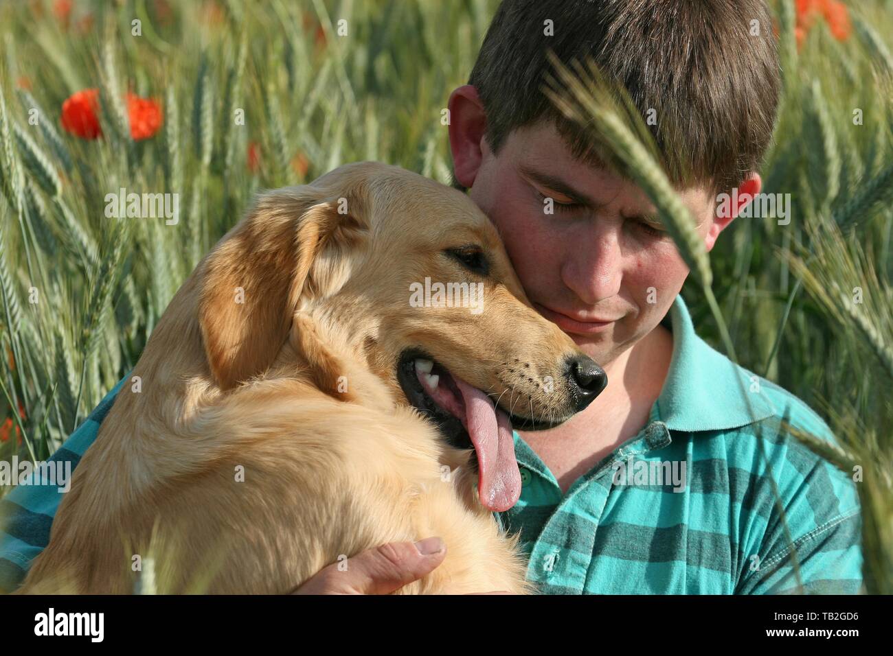 man and young Golden Retriever Stock Photo - Alamy