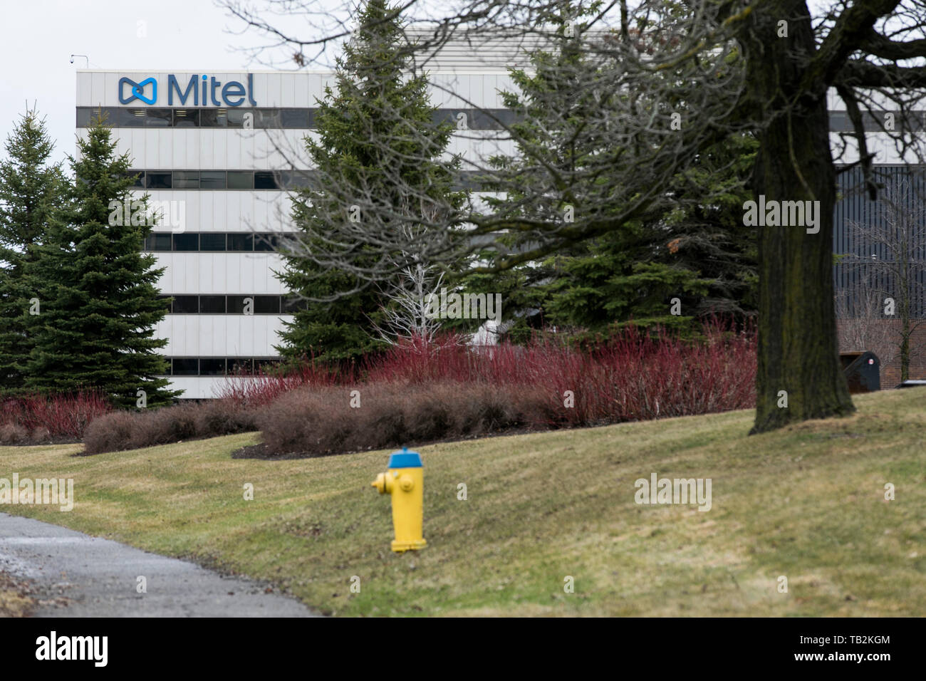 A logo sign outside of the headquarters of the Mitel Networks ...