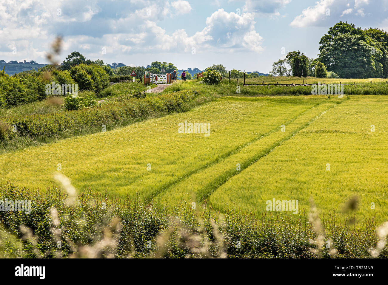 Longwick hi-res stock photography and images - Alamy