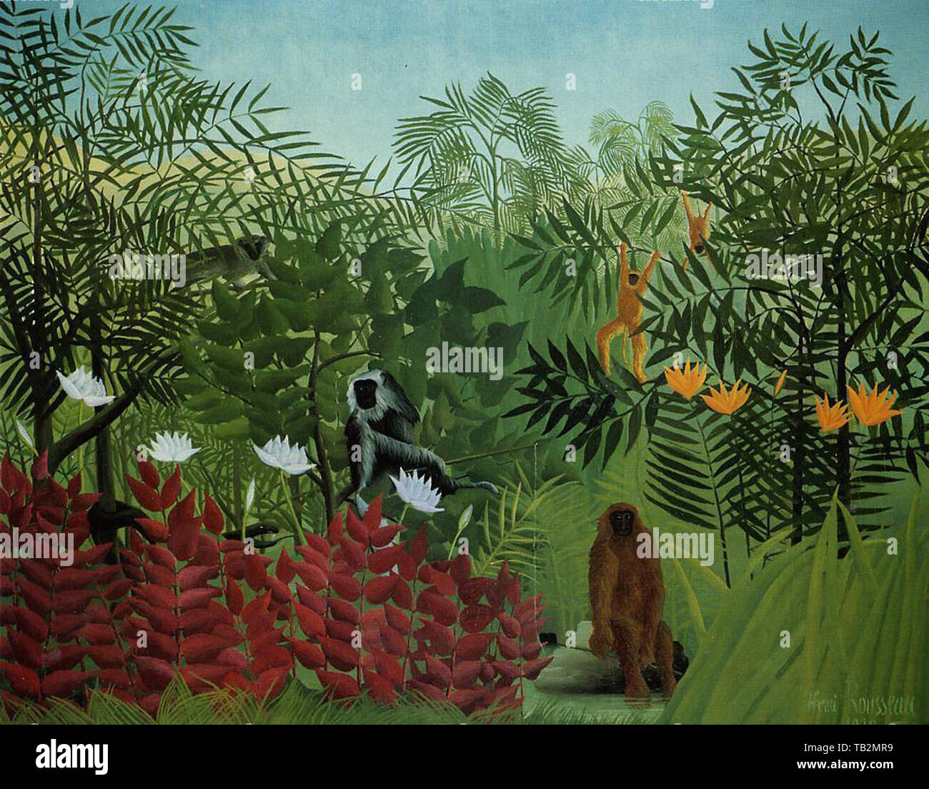 Apes and snake hi-res stock photography and images - Alamy