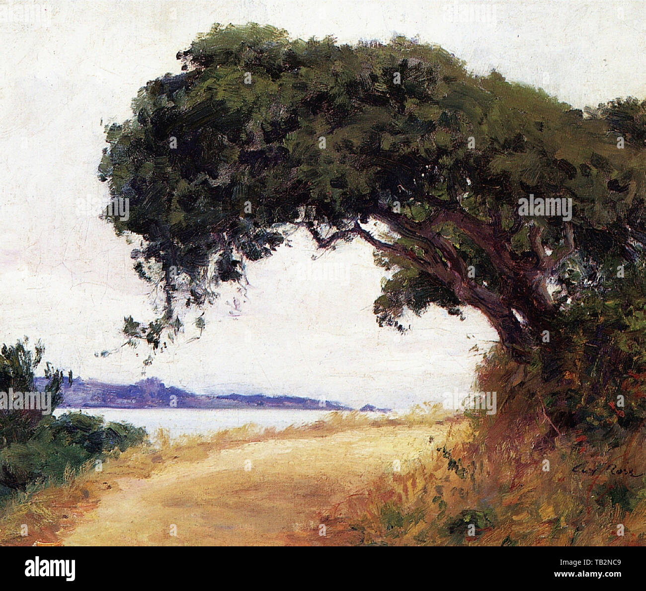Guy Orlando Rose - Point Lobos Oak Tree 1918 Stock Photo - Alamy