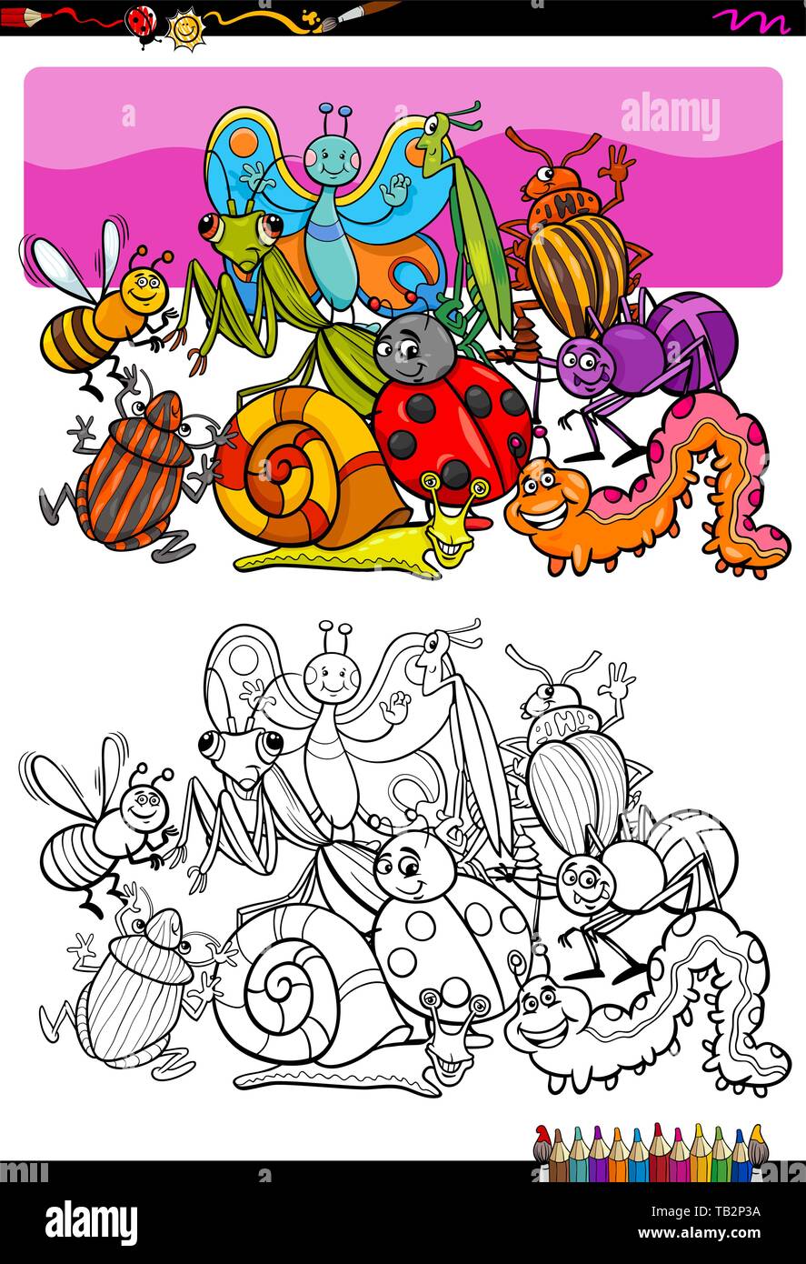 Cartoon Illustration of Insects and Bugs Animal Characters Group ...