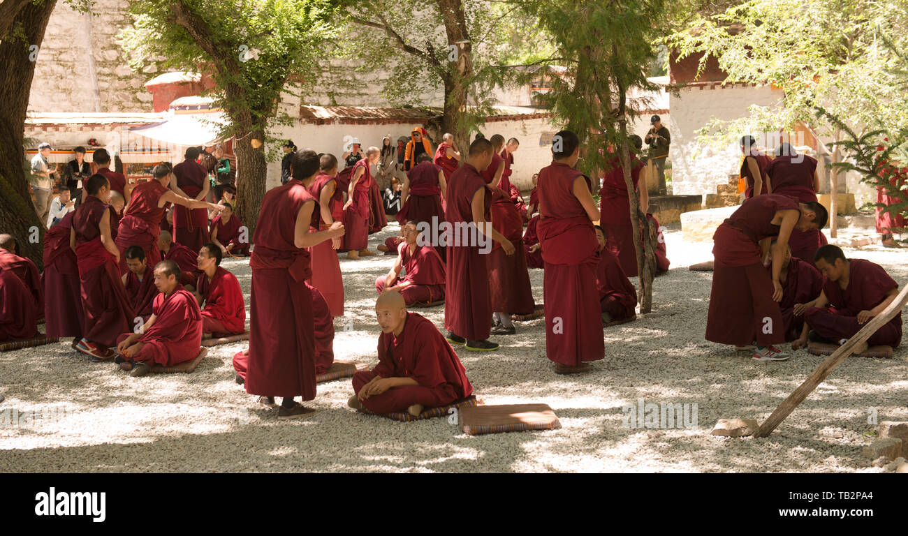 Novice monks debating, monastery Tibet Stock Photo - Alamy