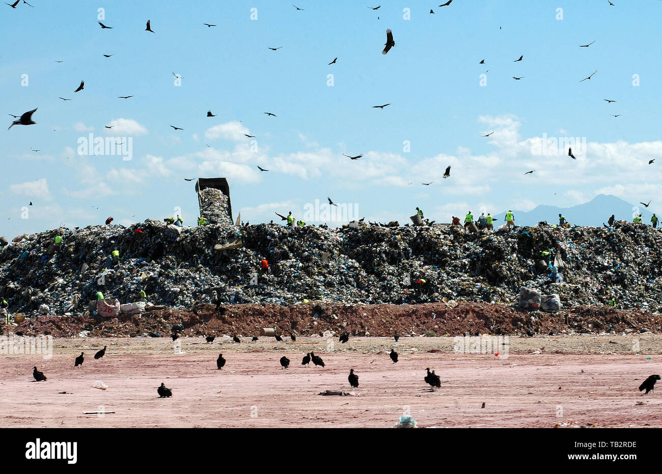 Gramacho hi-res stock photography and images - Alamy