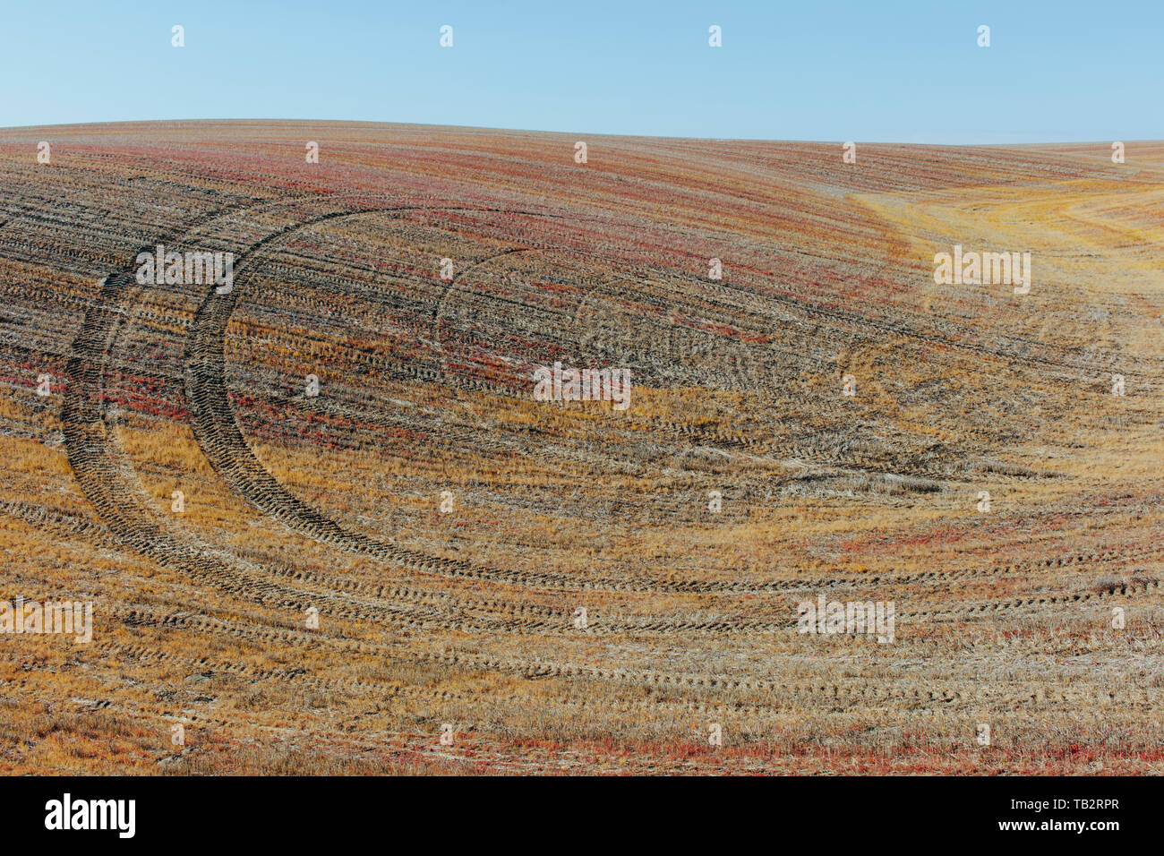 Palouse farmland in spring hi-res stock photography and images - Alamy