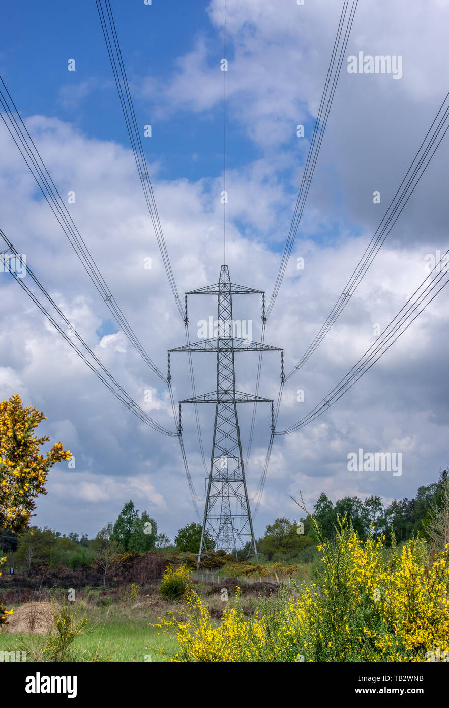 Electricity pylon in East Yorkshire Stock Photo - Alamy