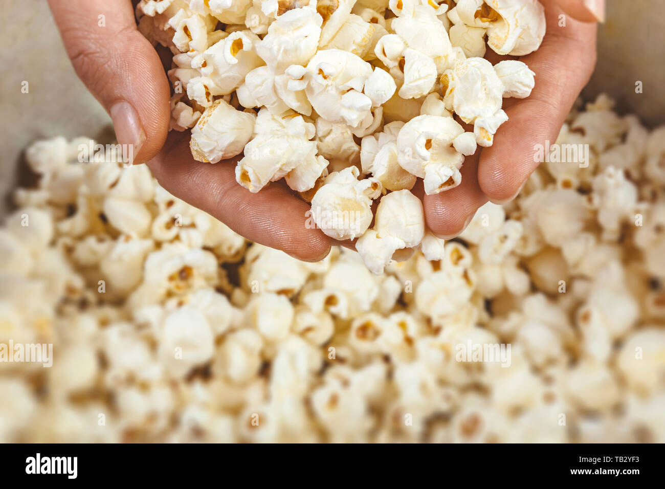 Hand holding corn cob hi-res stock photography and images - Alamy