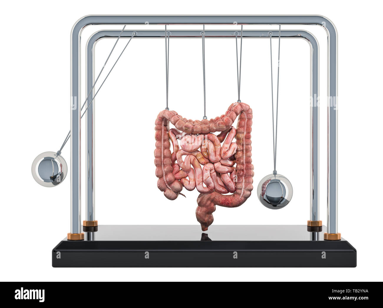 Abdominal pain concept. Newton's cradle with bowel. 3D rendering Stock ...