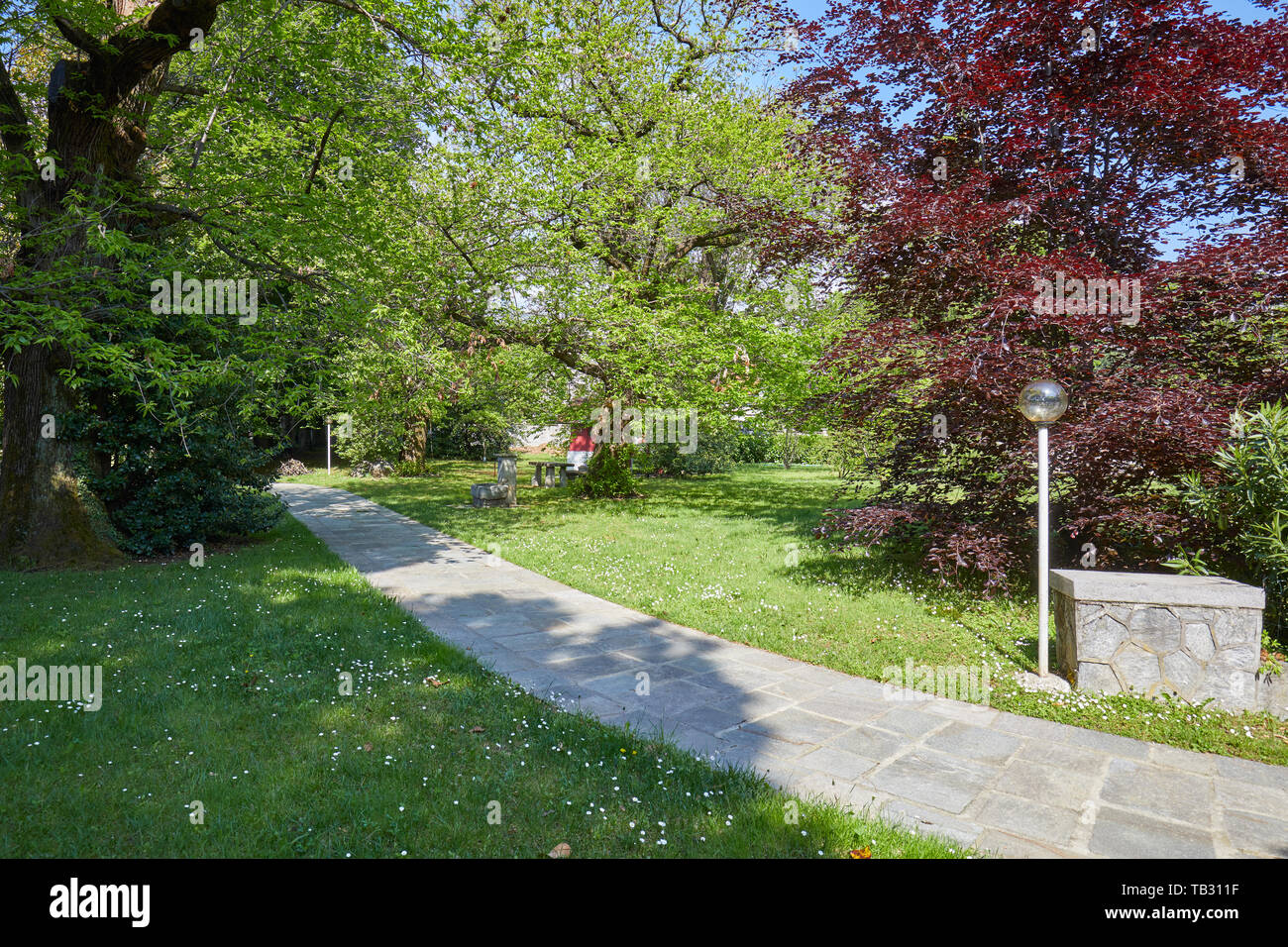 Garden with stone tiled path and street lamp in a sunny summer day ...