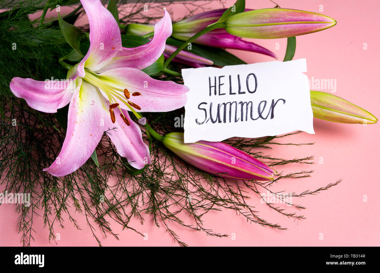 Hello summer note with Lily flowers bouquet on pink background Stock ...