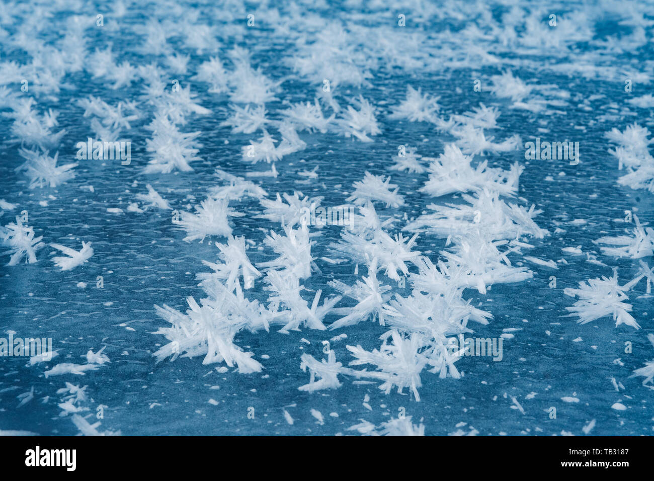 beautiful ice cristals on frozen lake taken at Oeschinensee in Berner ...