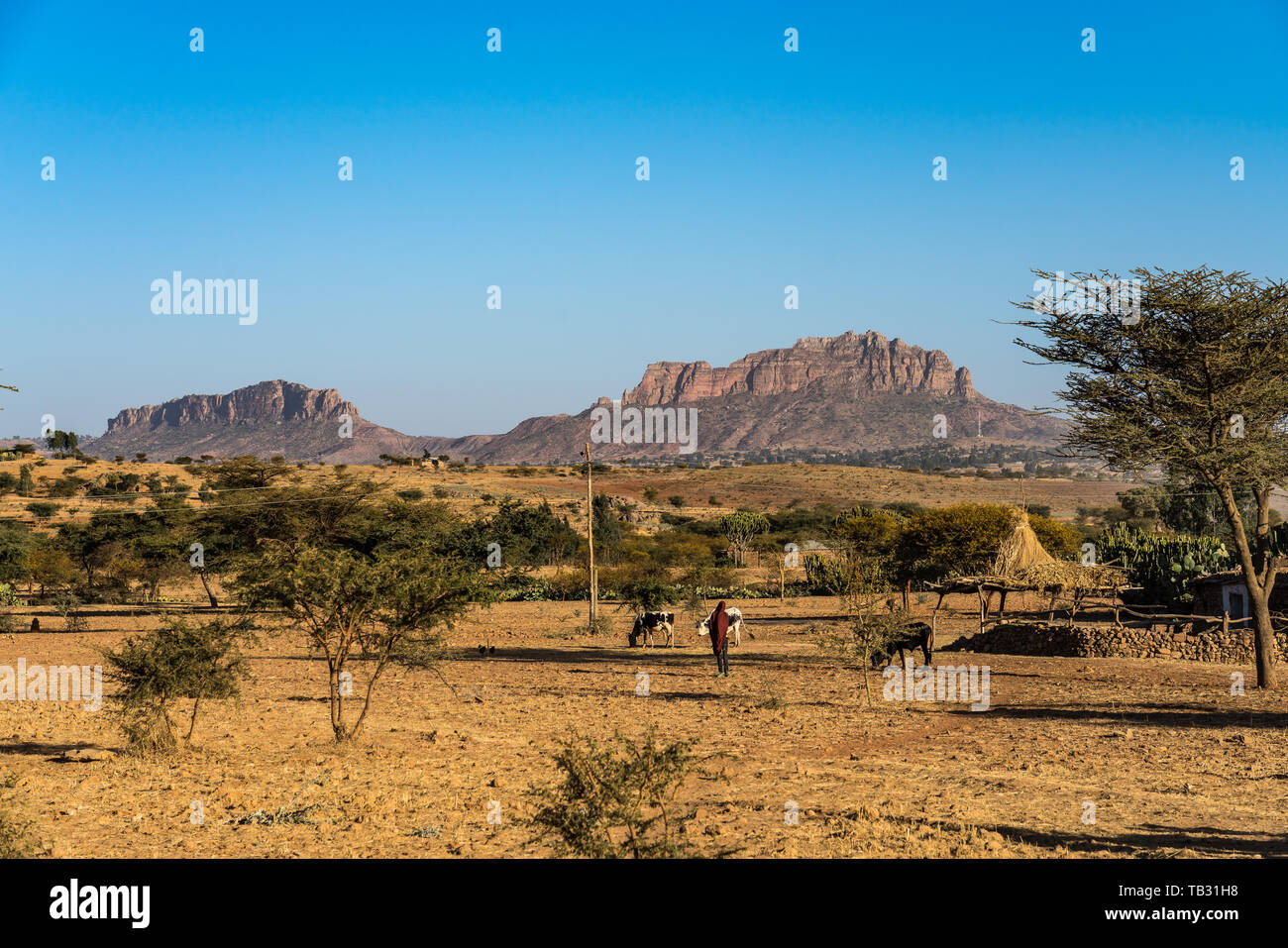 Landscape in Gheralta near Abraha Asbaha in Northern Ethiopia, Africa ...
