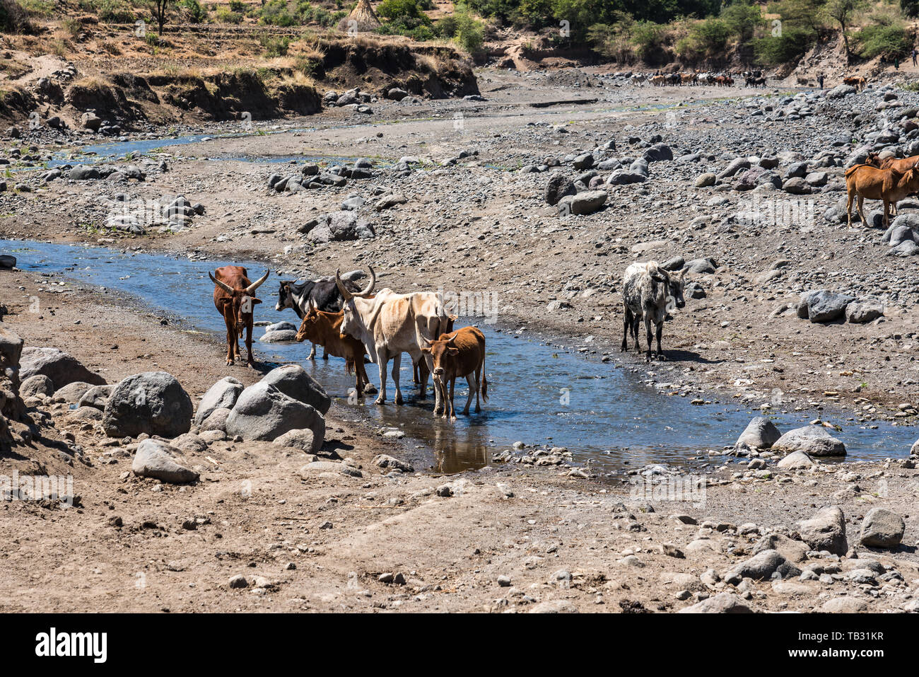 Konso landscape konso region ethiopia hi-res stock photography and ...