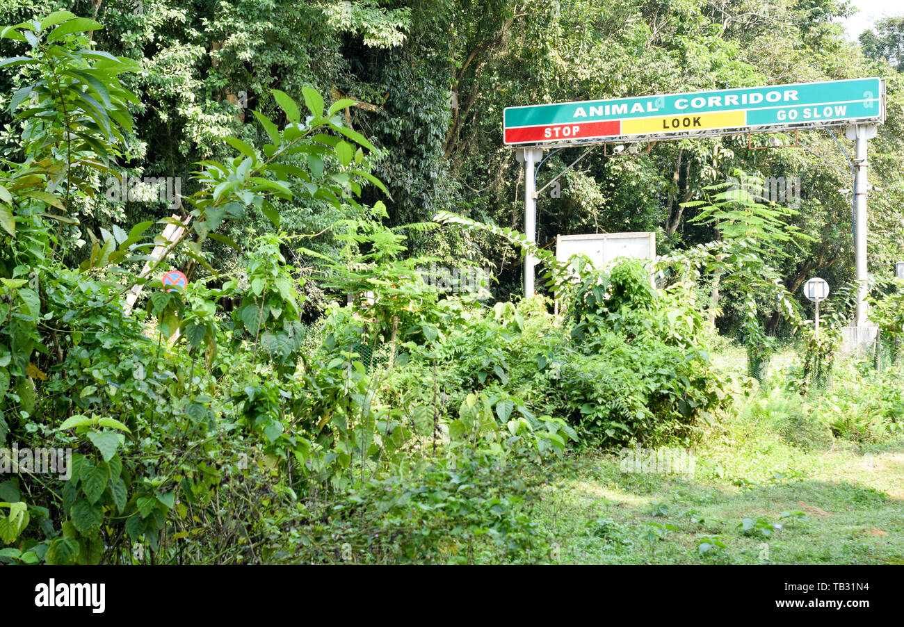 Directional post of Neora Valley National Park, Dunga Hill Camp area ...