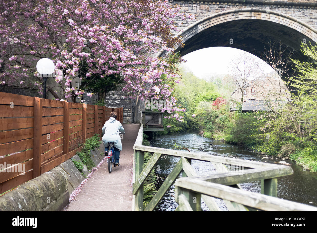dh Riverside path WATER OF LEITH EDINBURGH Person cycling by river ...