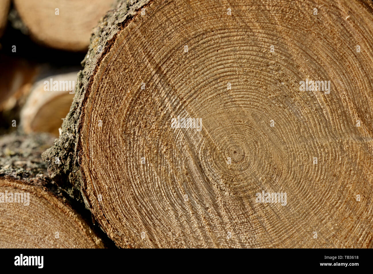 Round structure hi-res stock photography and images - Alamy