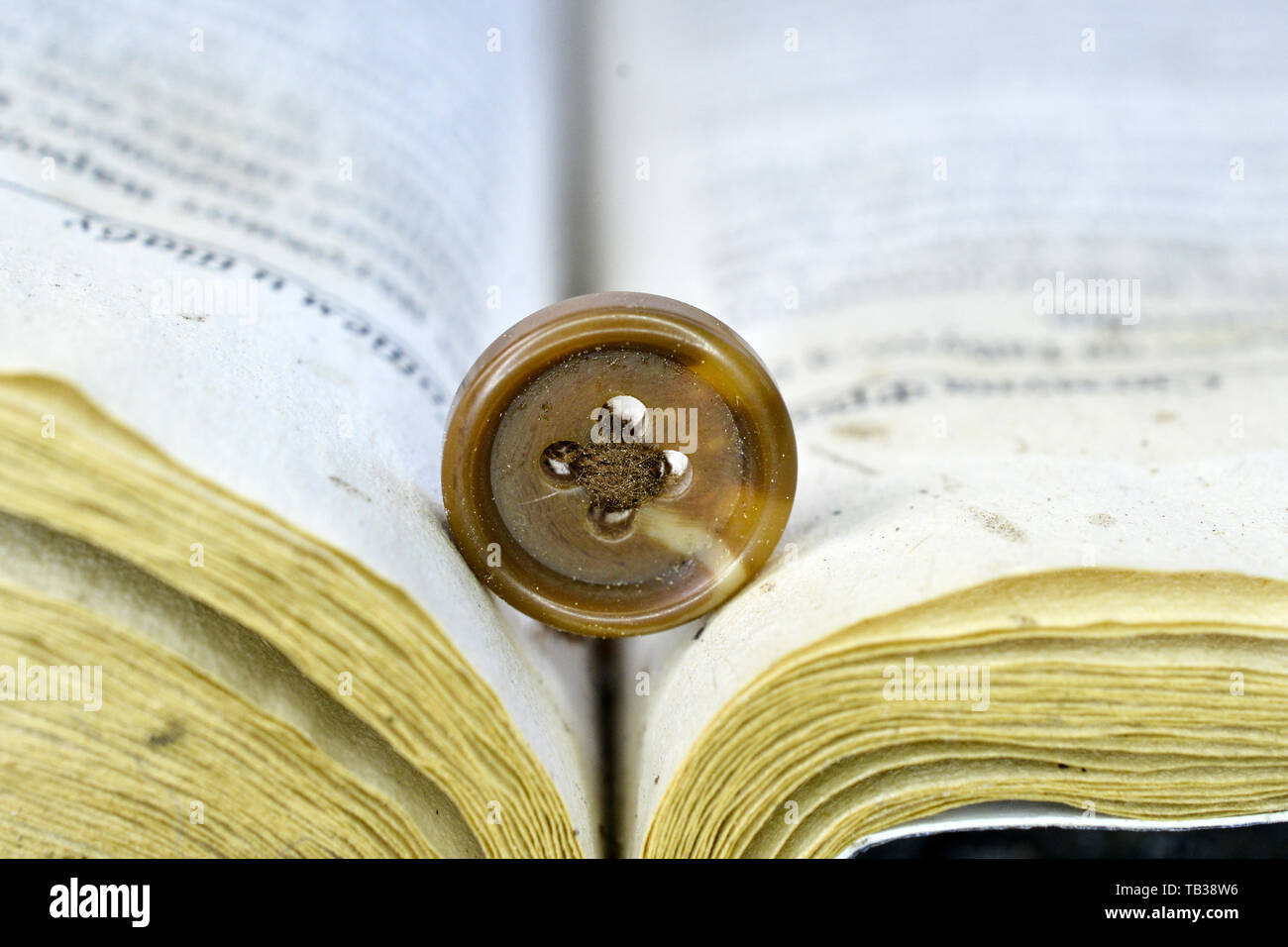 old brown sewing button image of a Stock Photo - Alamy
