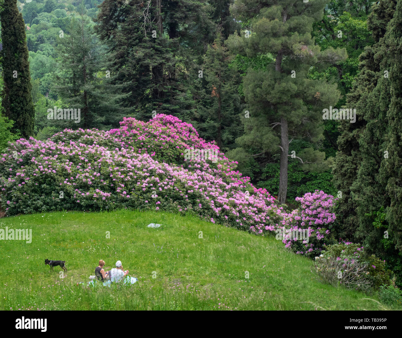 Picnic in the open air hi-res stock photography and images - Alamy