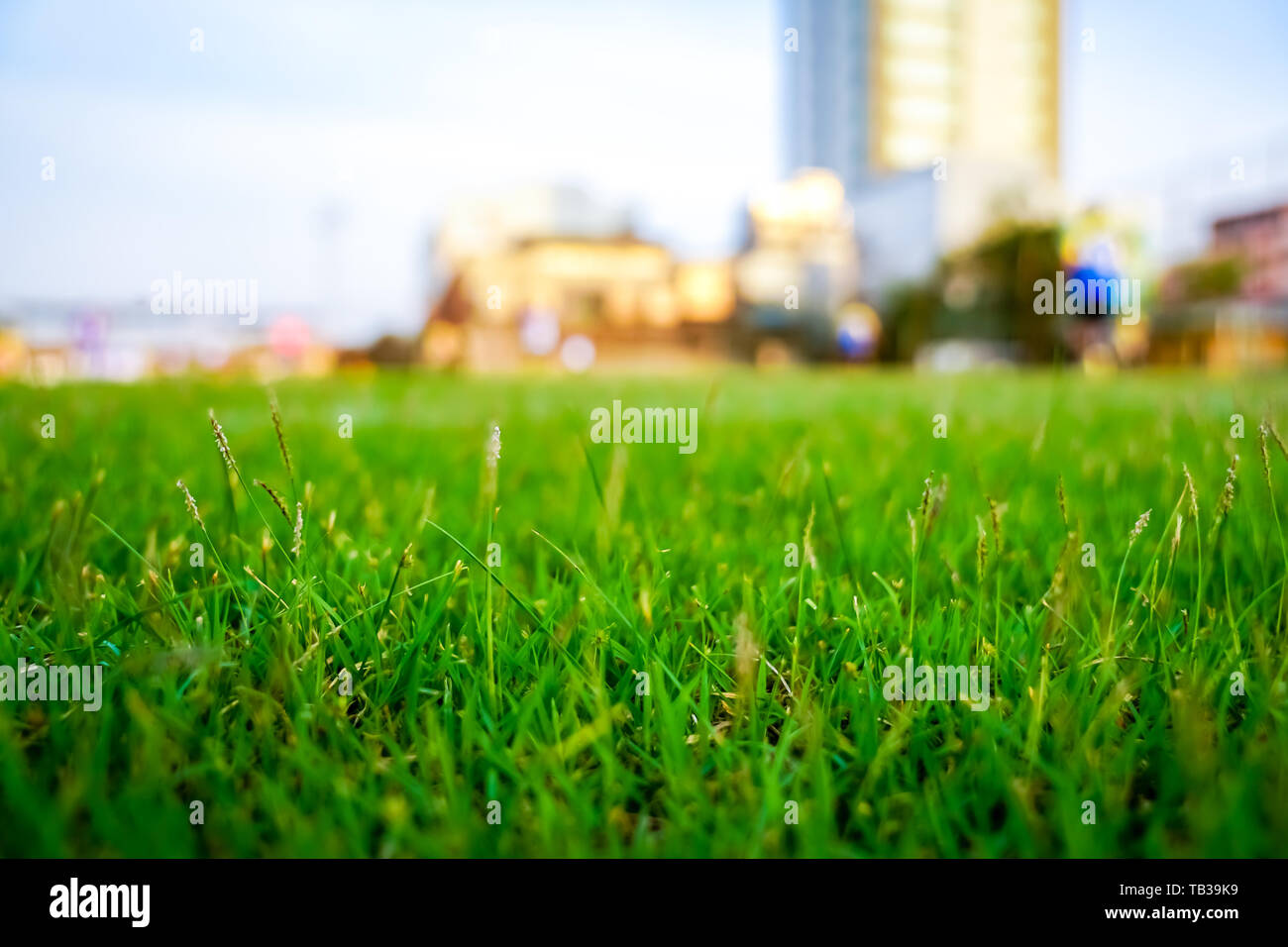 Grass in the football field with blur player play football background ...