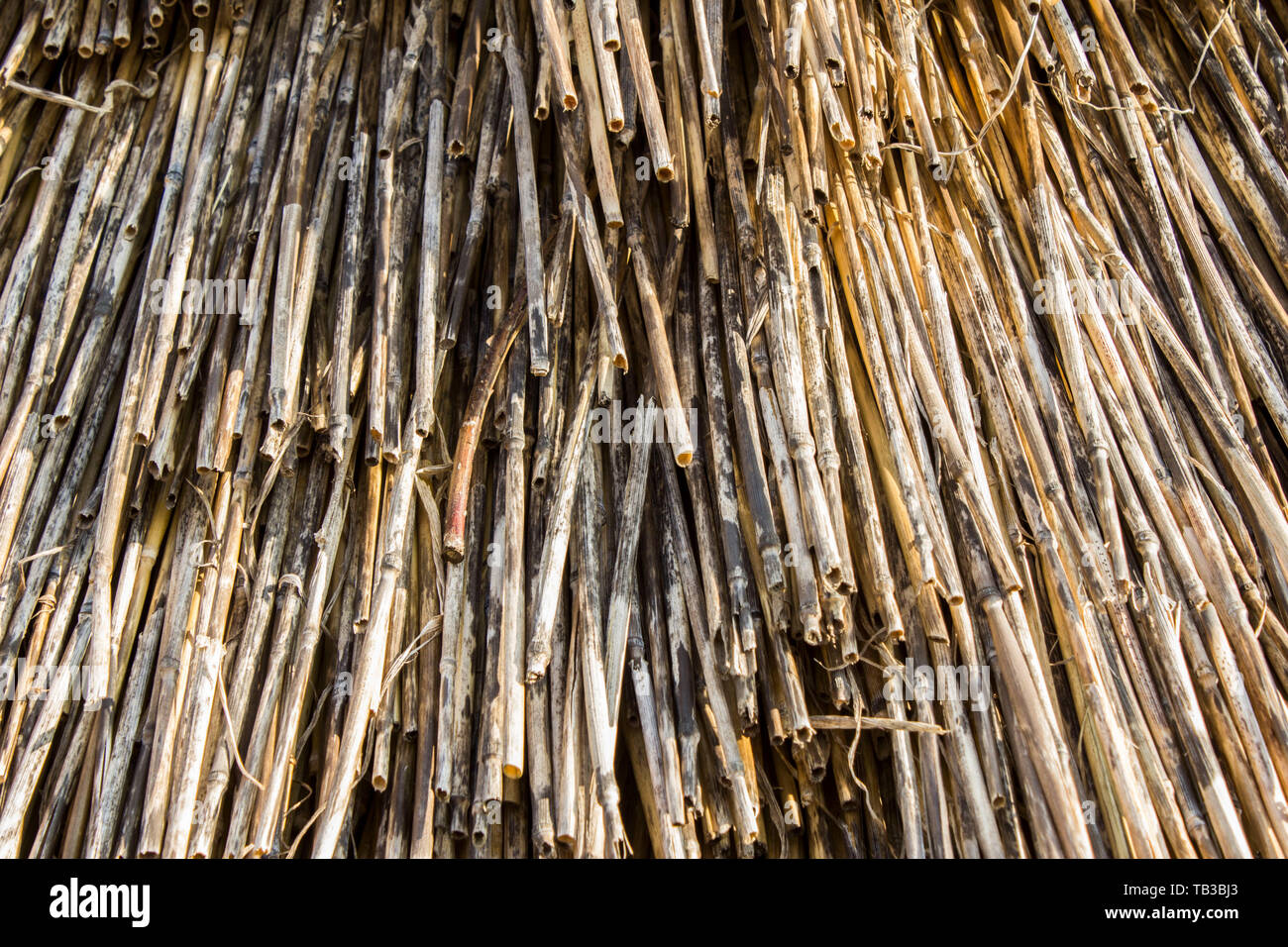 Straw roof hi-res stock photography and images - Alamy