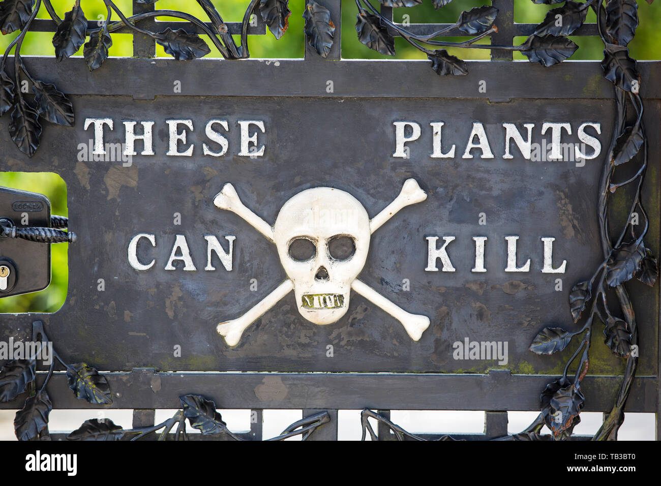 The poison garden at Alnwick Castle Gardens, Northumberland, UK Stock ...
