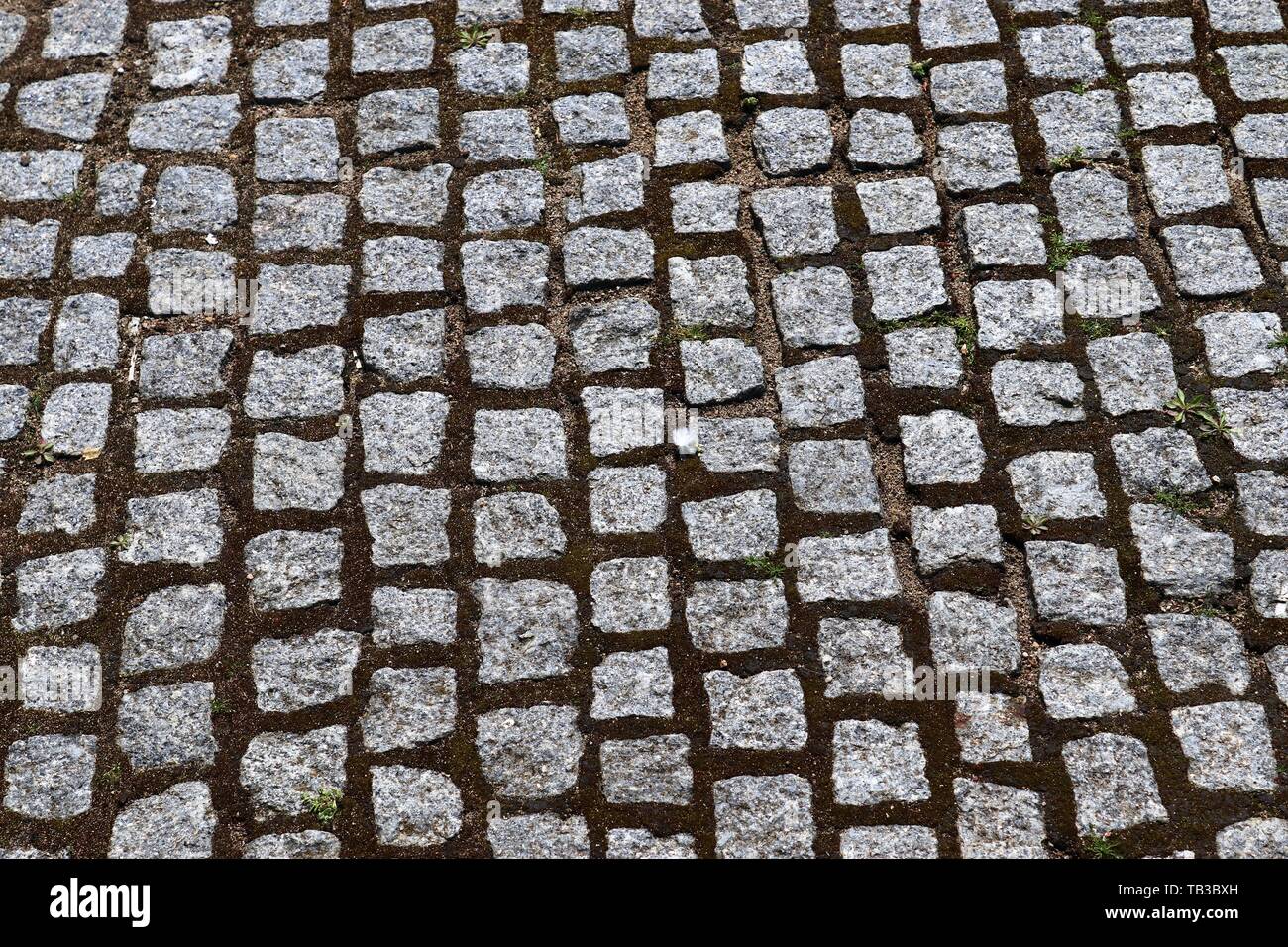 Close up detailed view on a cobblestone street pavement in high ...