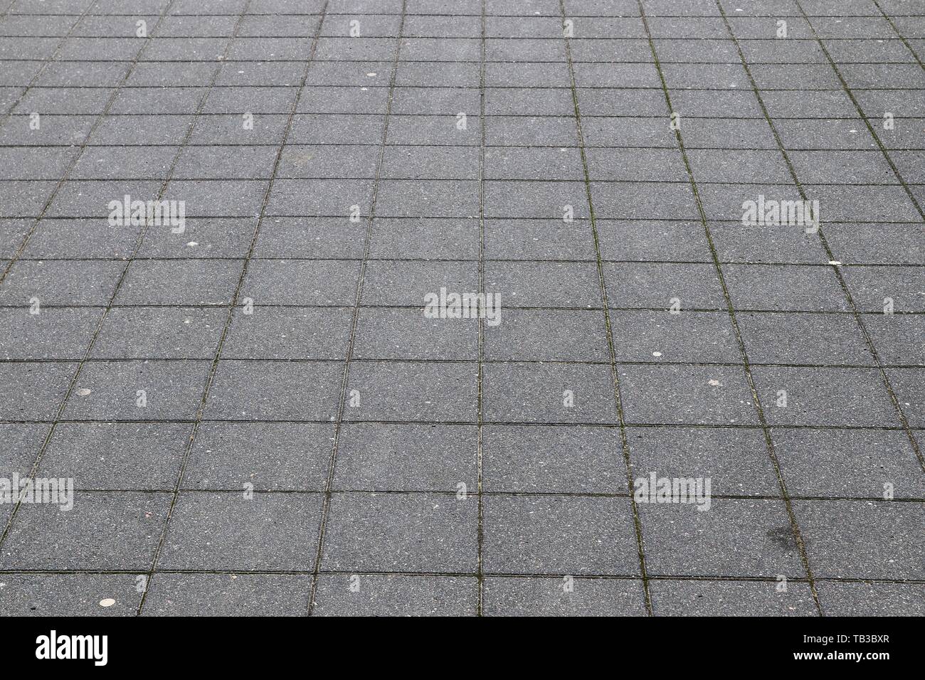 Close up detailed view on a cobblestone street pavement in high ...